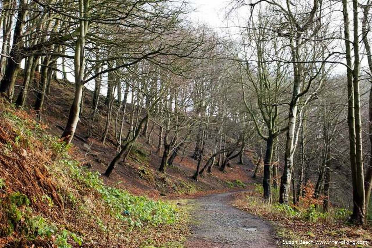 Central Fife Walks – Fife Walking