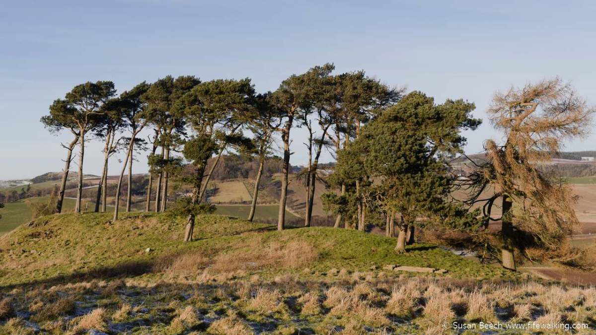 Cupar Hills – Fife Walking