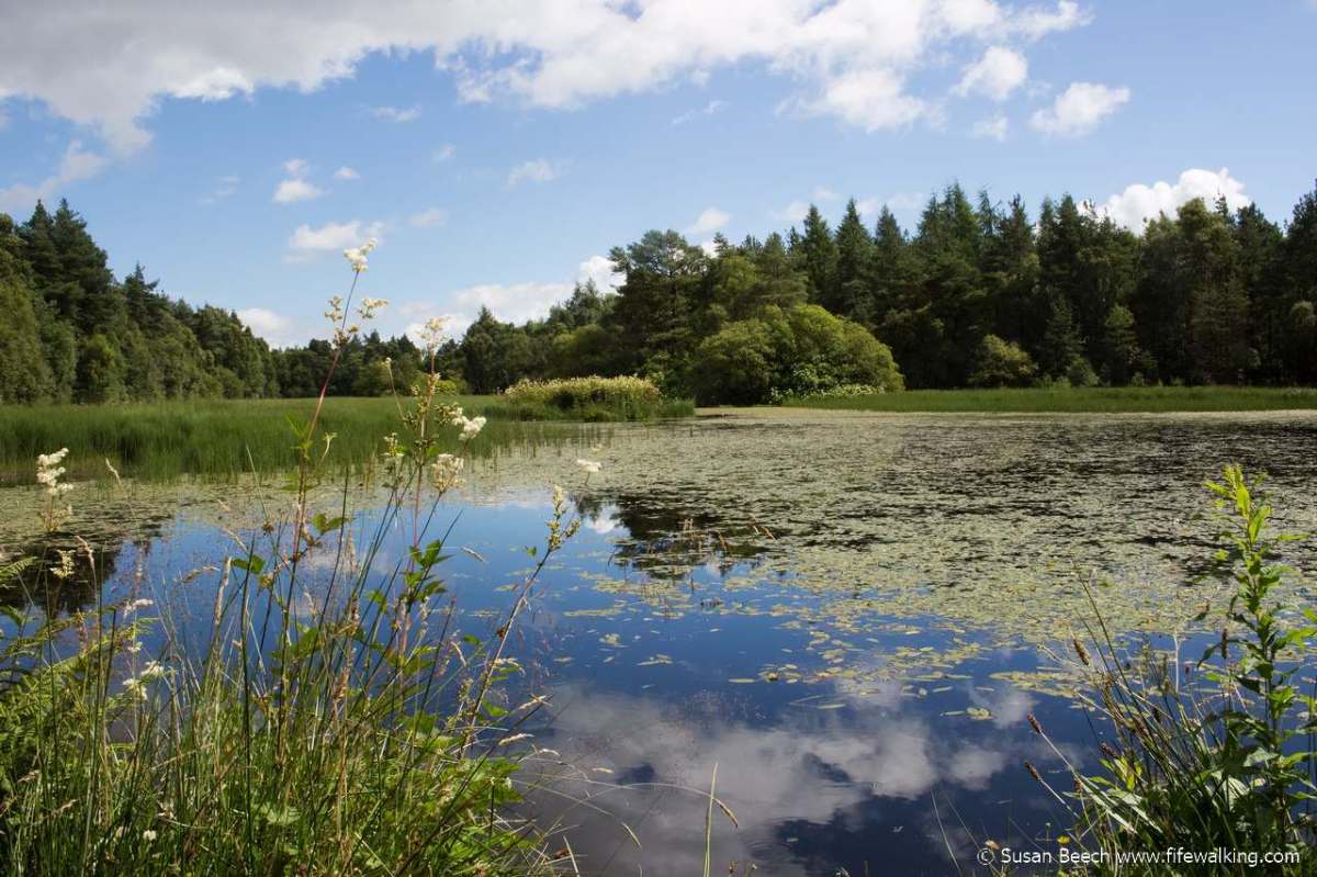West Fife Walks – Fife Walking