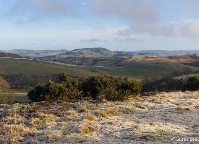 North Fife Walks – Fife Walking