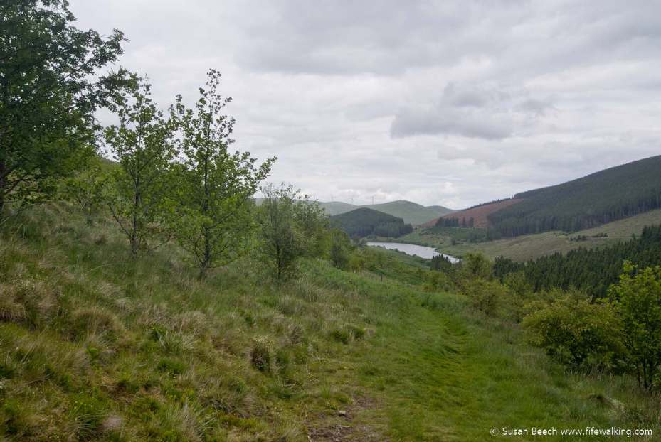 Ochils – Fife Walking