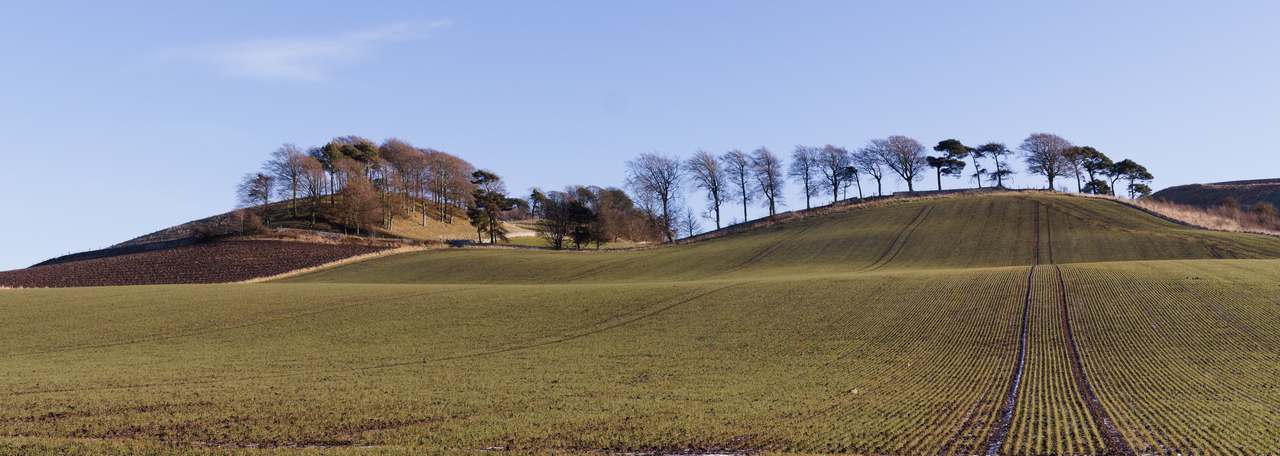 Find a Walk – Fife Walking