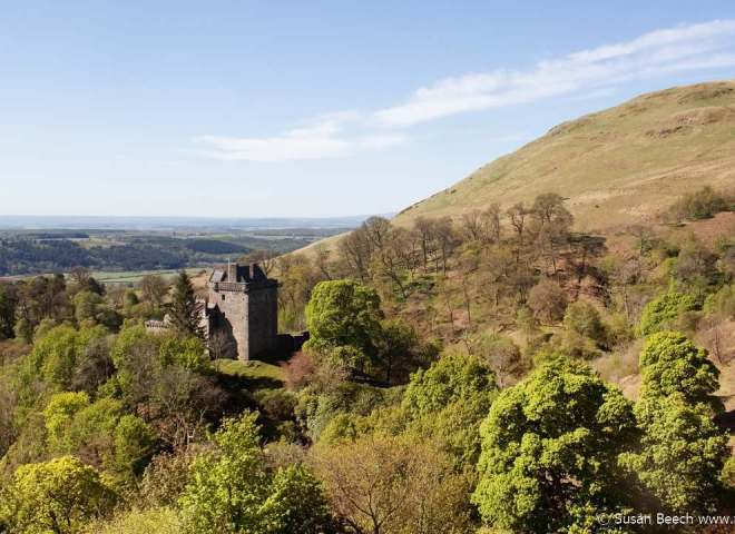 Ochils – Fife Walking