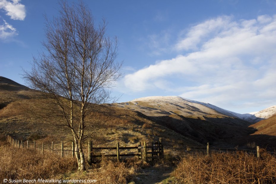 Ochils – Fife Walking