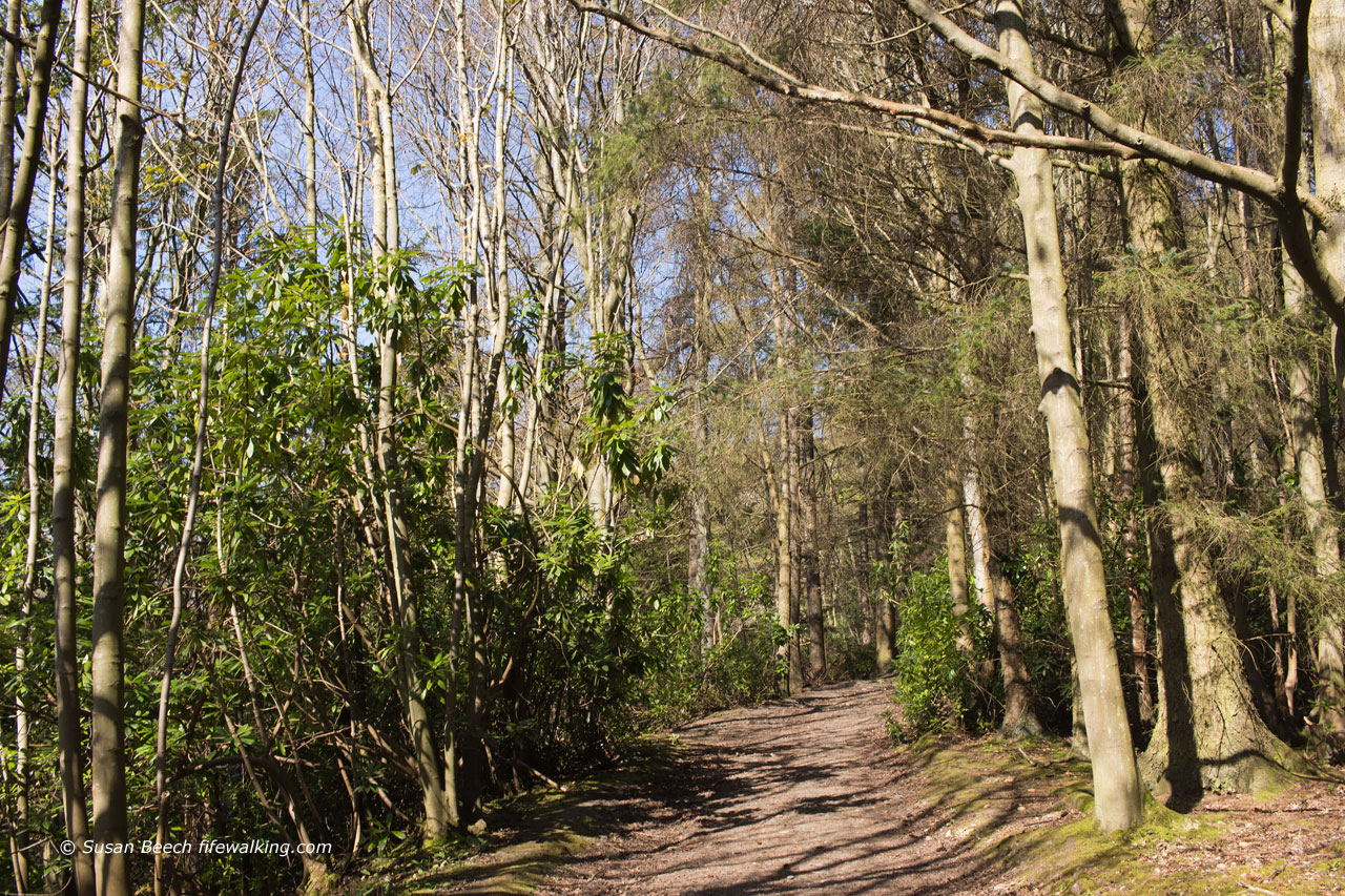 South Fife Walks – Fife Walking