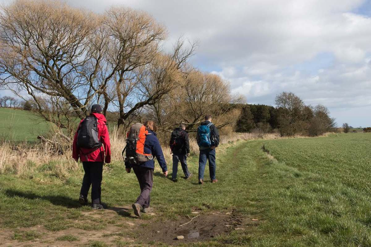 Walking Groups – Fife Walking