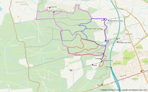 Blairadam Forest – Fife Walking