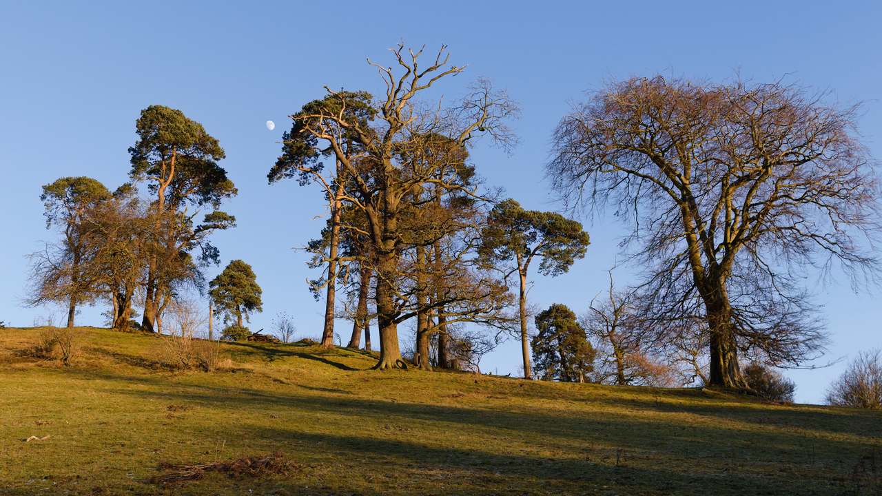 A new Fife Walking – Fife Walking