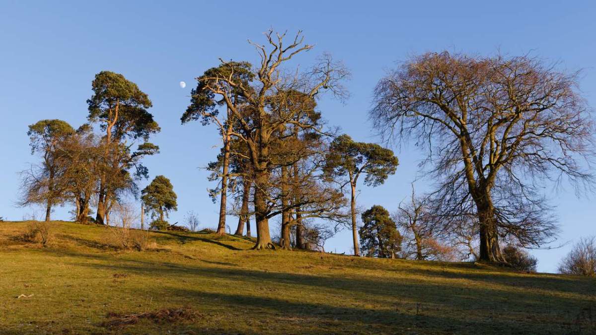 Fife Walking – Find Walking Routes in Fife and Beyond