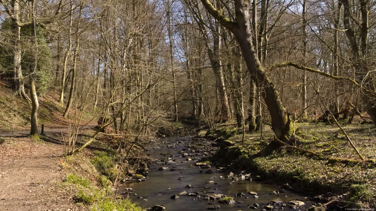 Craighall Den – Fife Walking