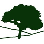 Fife Walking – Find Walking Routes in Fife and Beyond