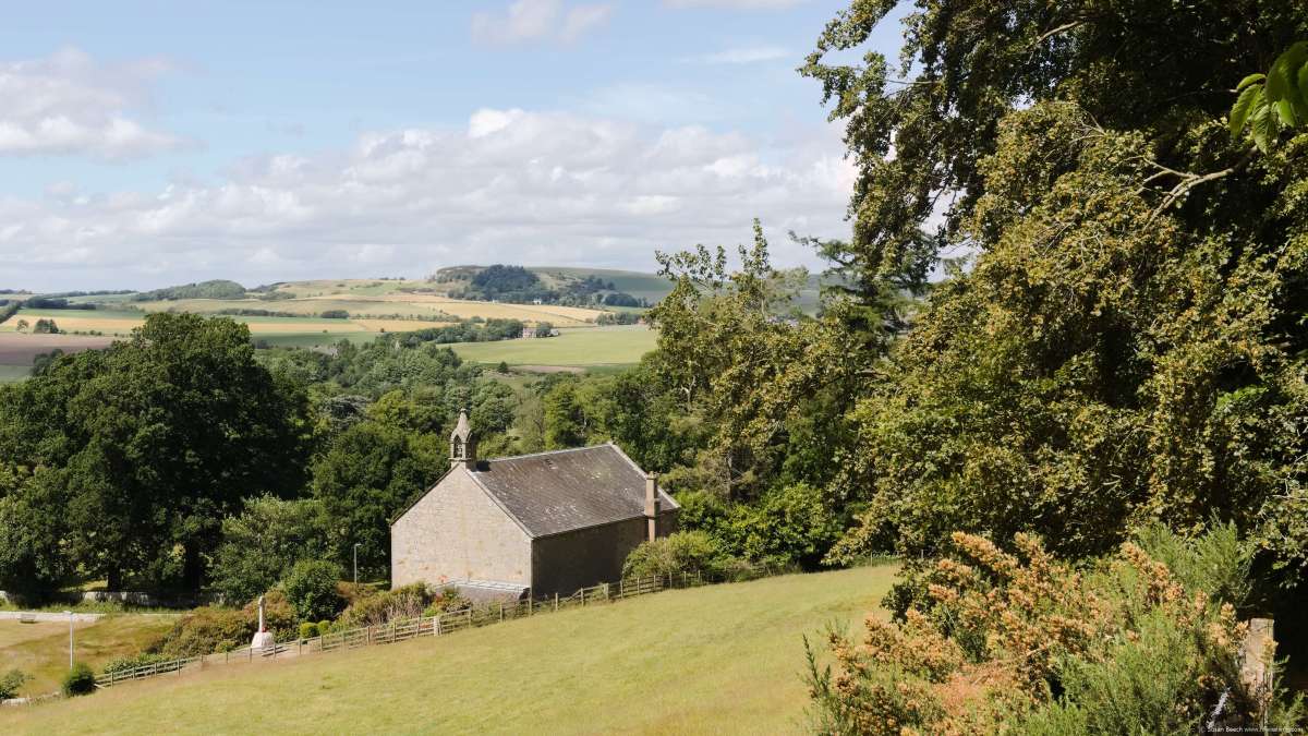 Kemback Woods – Fife Walking