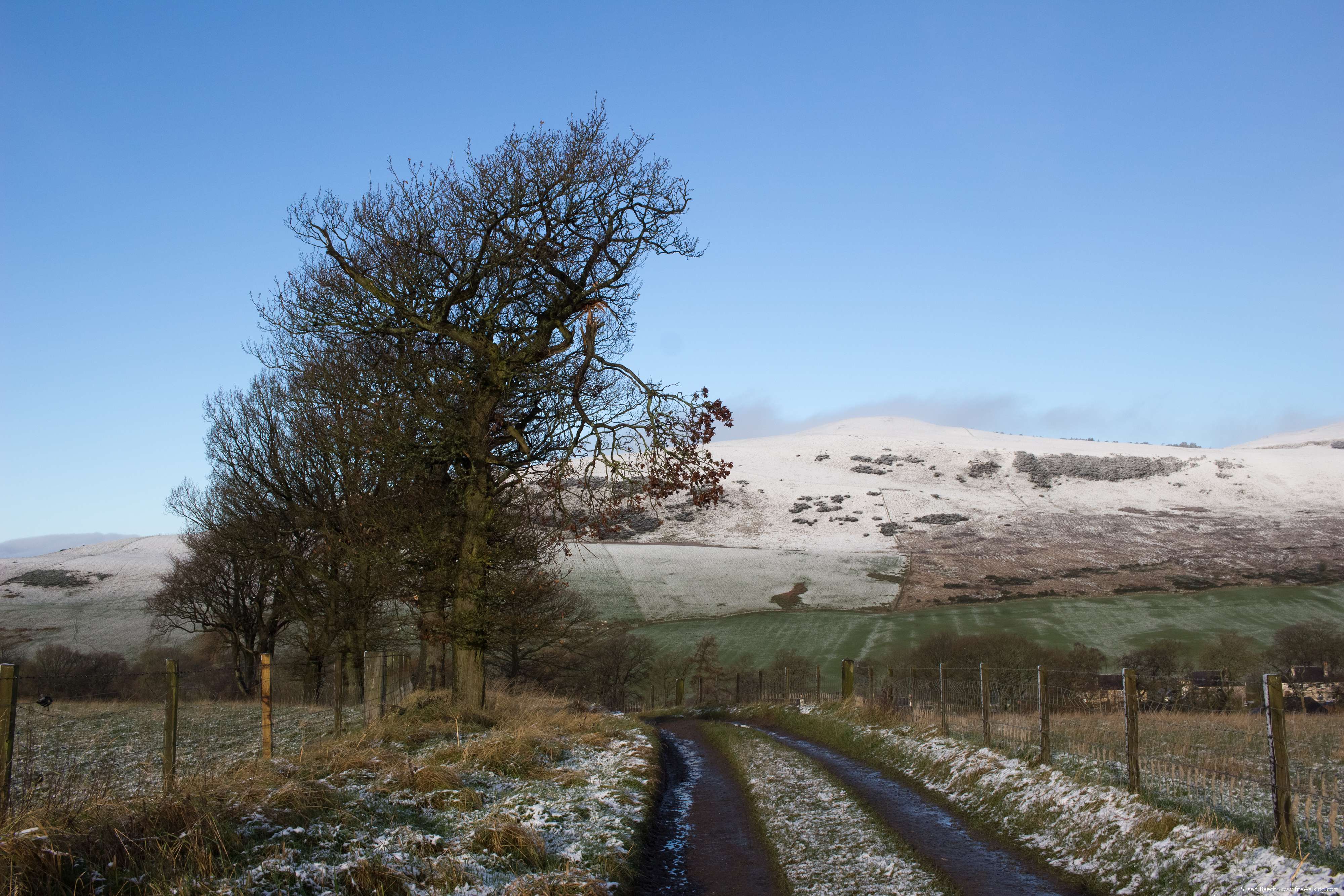 Photo Gallery – Fife Hills : Marilyns and Humps – Fife Walking