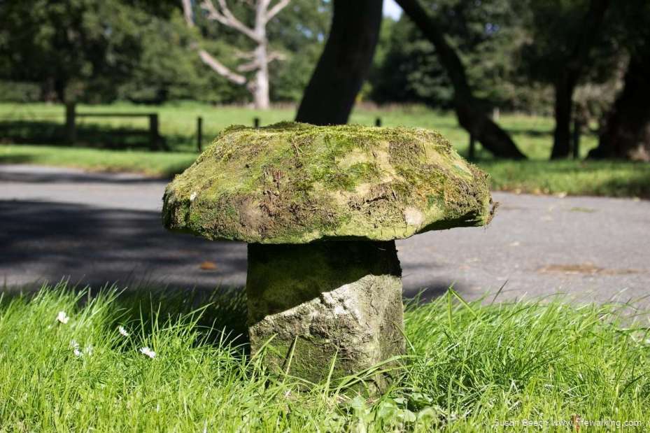 Photo Gallery – East Neuk of Fife – Fife Walking