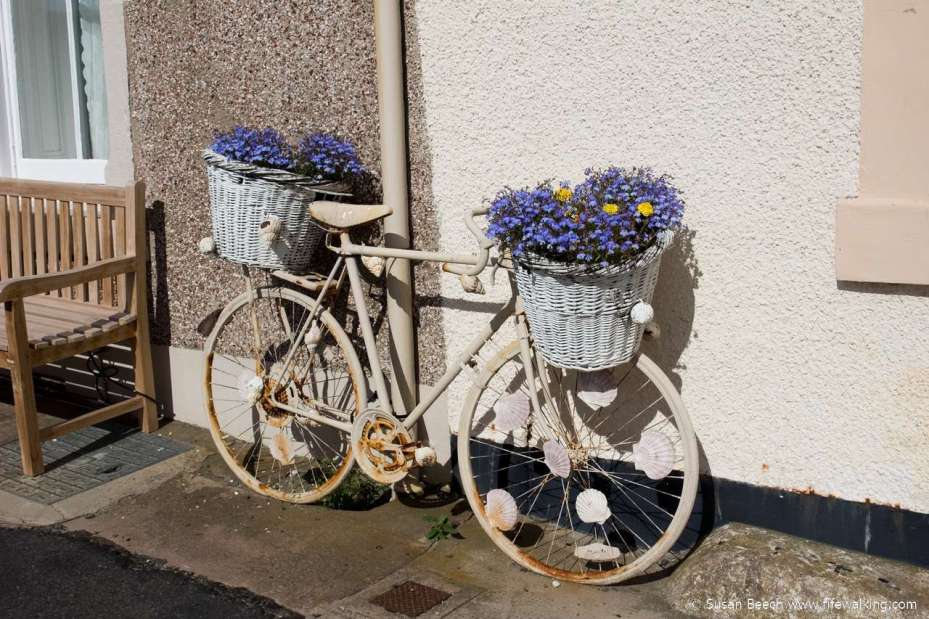 Photo Gallery – East Neuk of Fife – Fife Walking