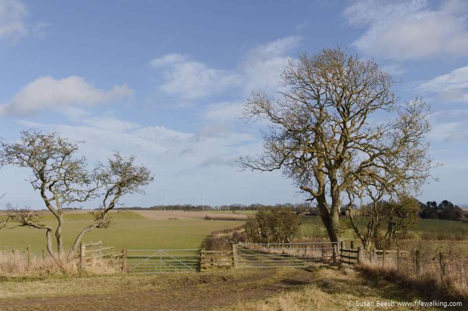 Photo Gallery – East Neuk of Fife – Fife Walking
