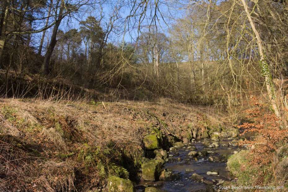 Photo Gallery – East Neuk of Fife – Fife Walking