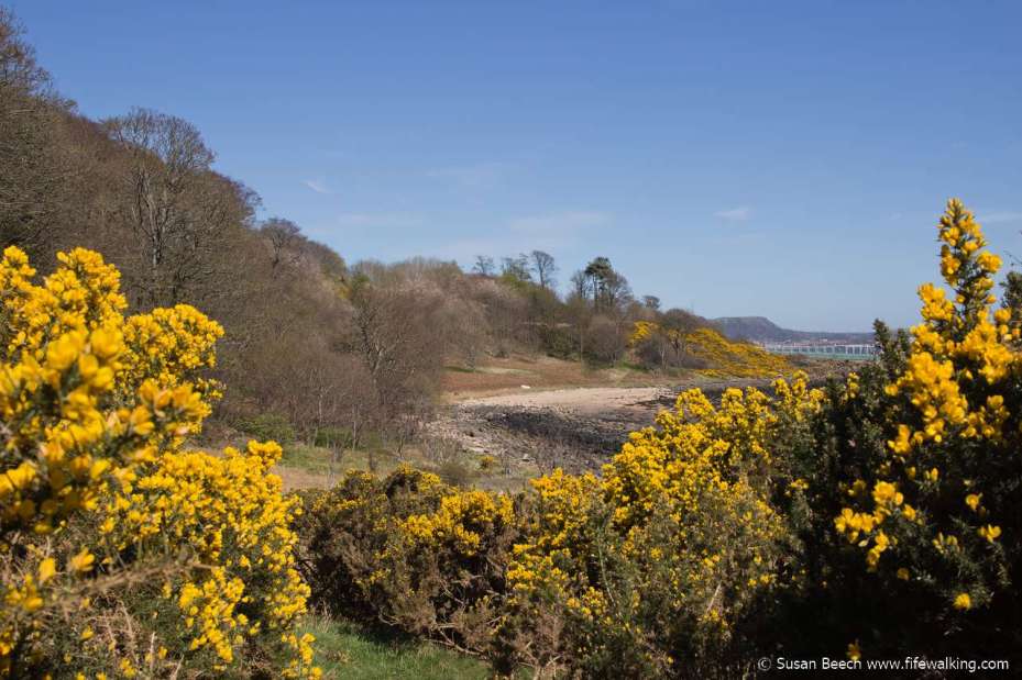 Photo Gallery – Dalgety Bay – Fife Walking