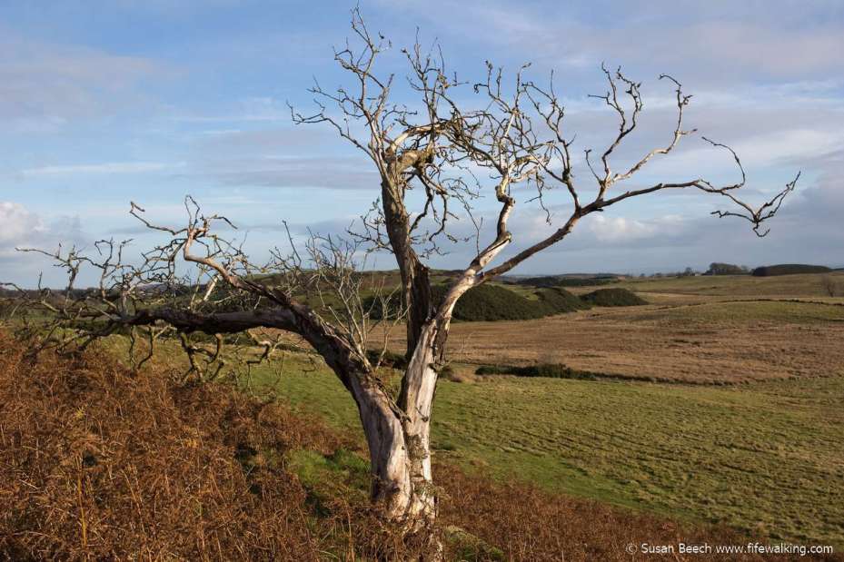 Photo Gallery – West Fife and Dunfermline – Fife Walking