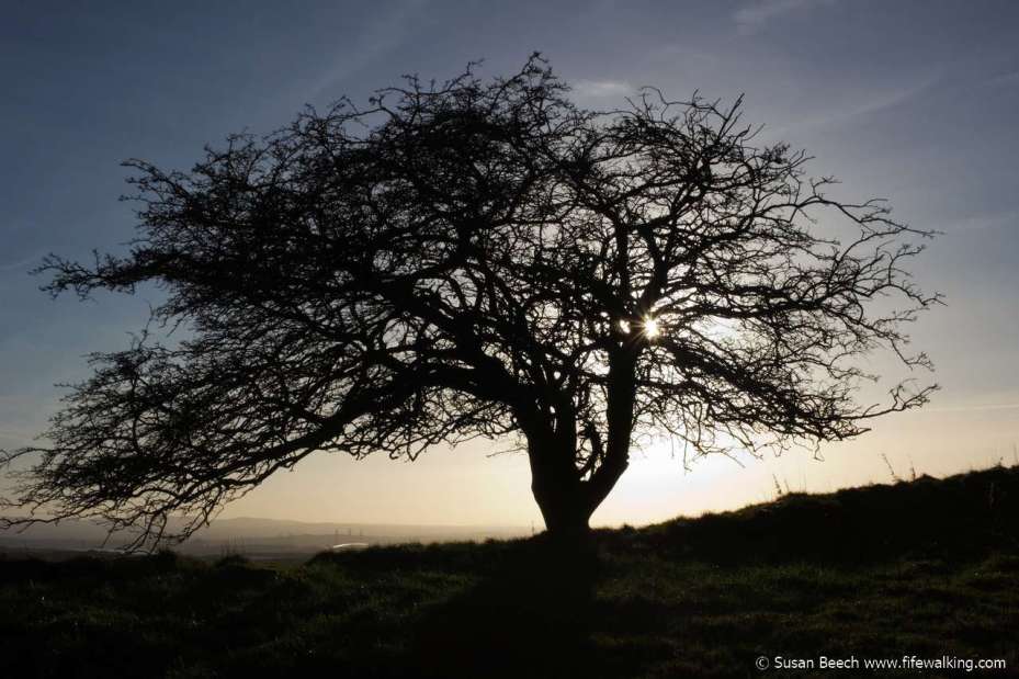 Photo Gallery – West Fife and Dunfermline – Fife Walking