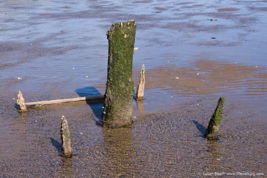 Photo Gallery – Kinghorn, Burntisland, Aberdour – Fife Walking