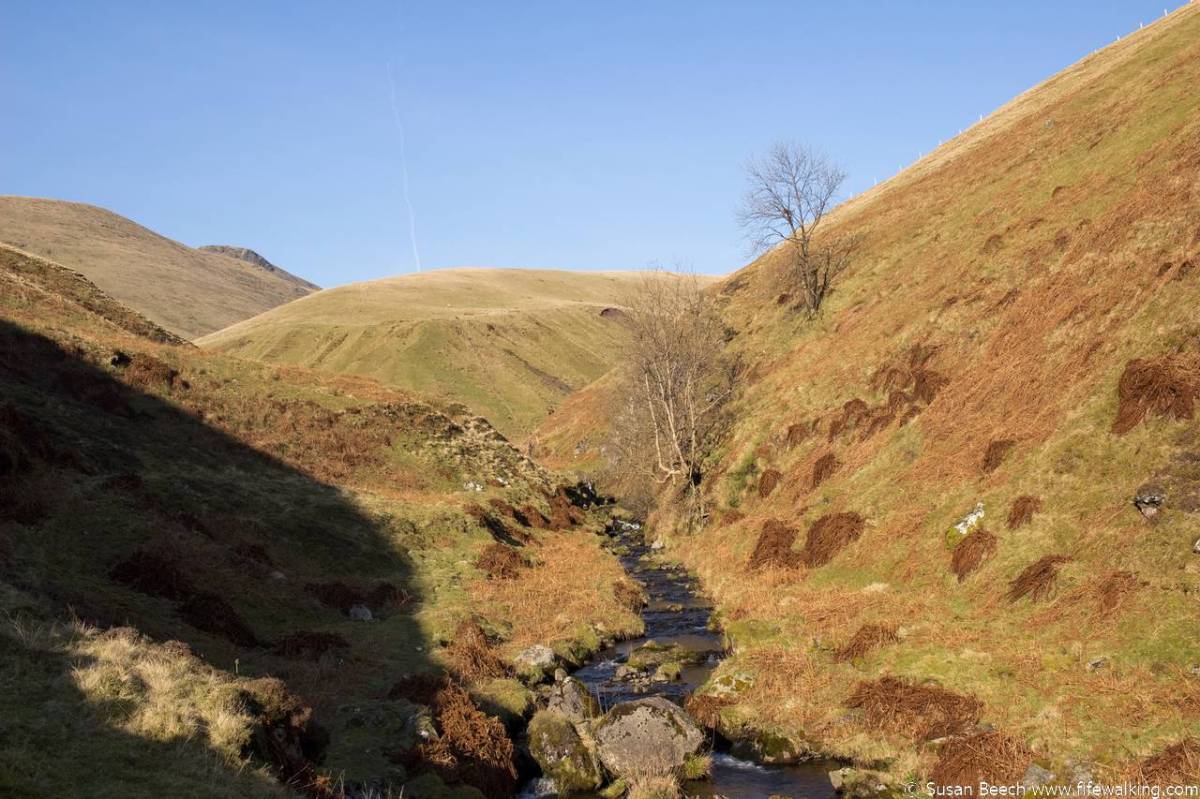 Photo Gallery – Western Ochils – Fife Walking