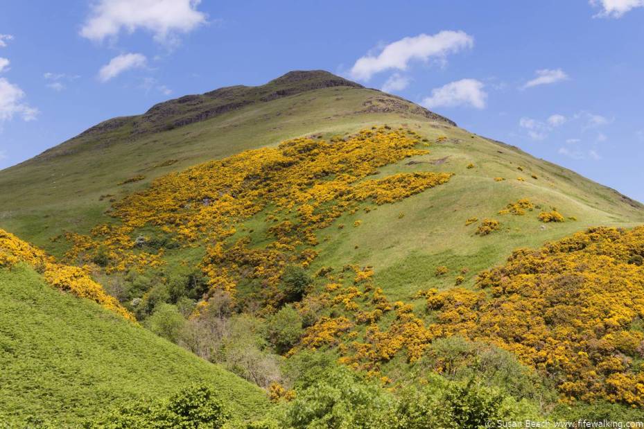 Photo Gallery – Western Ochils – Fife Walking