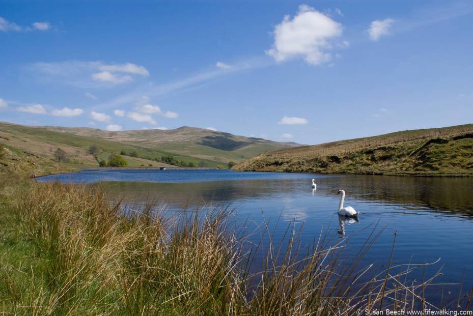 Photo Gallery – Western Ochils – Fife Walking