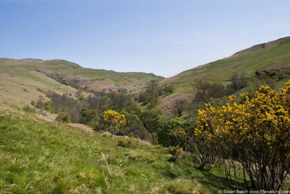Photo Gallery – Western Ochils – Fife Walking