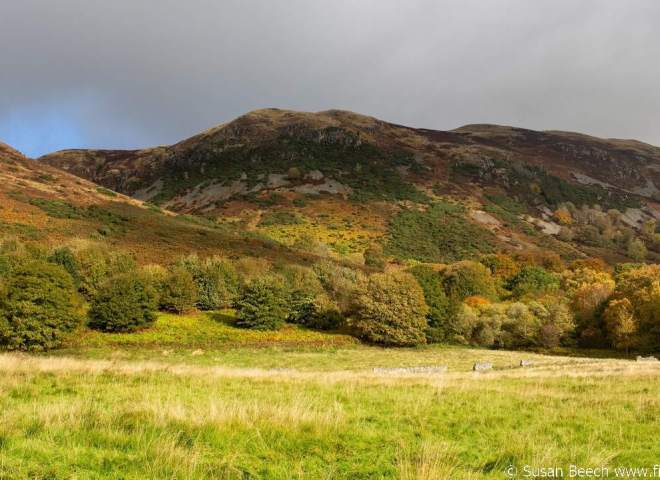 Ochils – Fife Walking